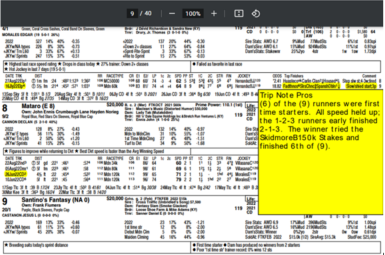 Brisnet PPs by Trip Note Pros FAQ – TwinSpires